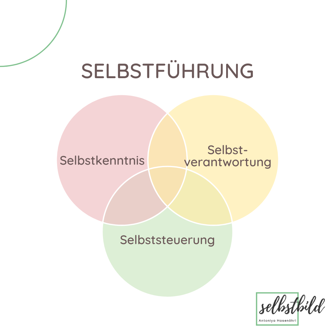Selbstführung - Selbstbild – Beratung, Training & Coaching