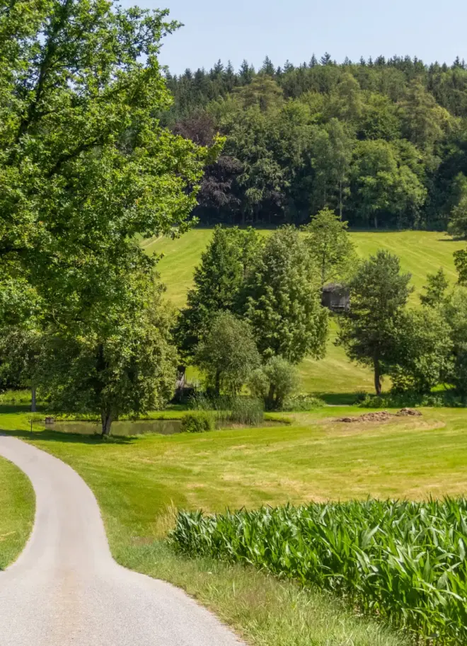 Life-Coaching - Selbstbild