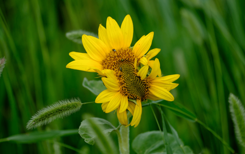 Selbstbild - Beratung, Training & Coaching