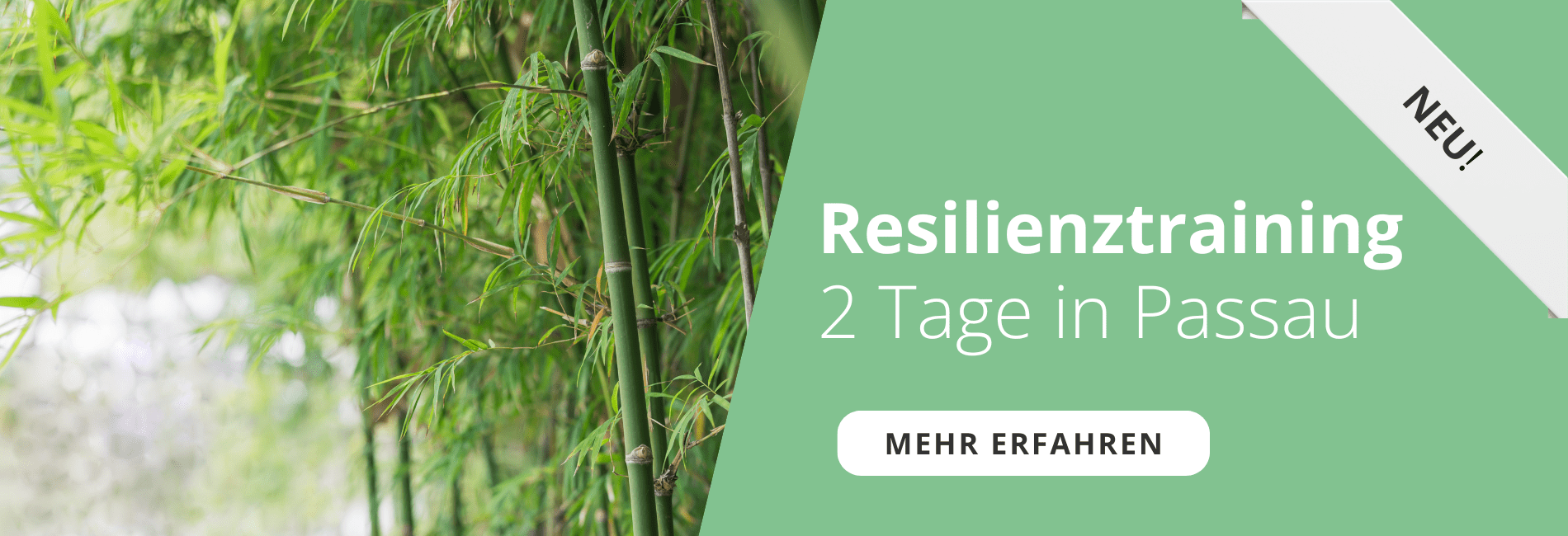 Selbstbild - Beratung, Training & Coaching